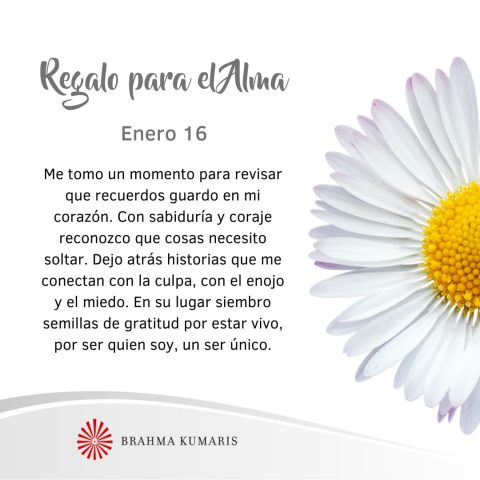 Siembro semillas | Fundación Ananta